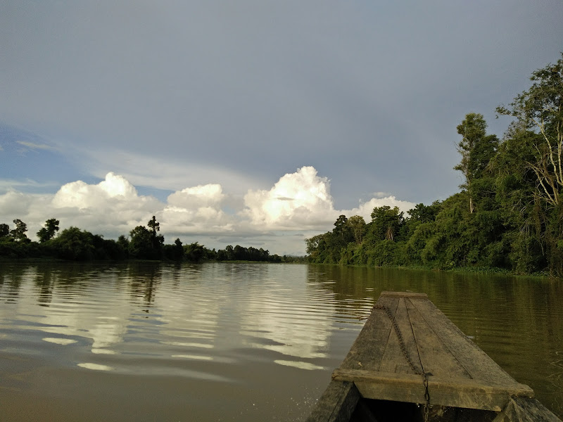 Yok Don National Park