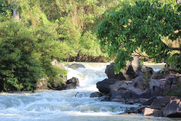 Yok Don National Park